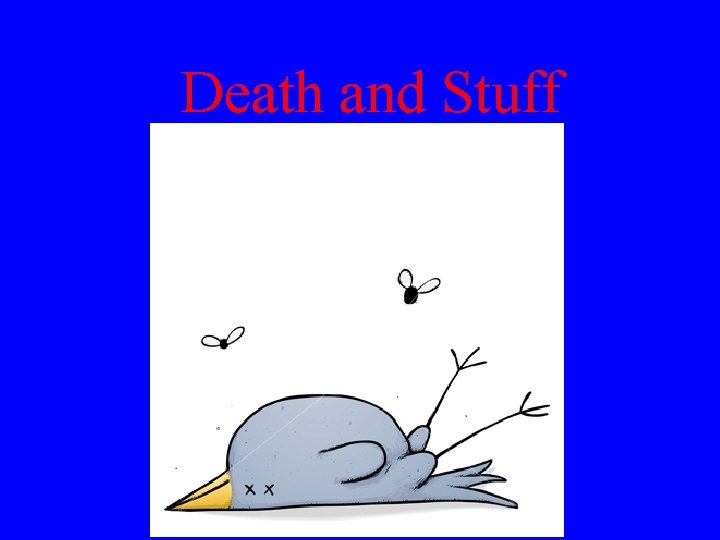 Death and Stuff Death The cessation of life