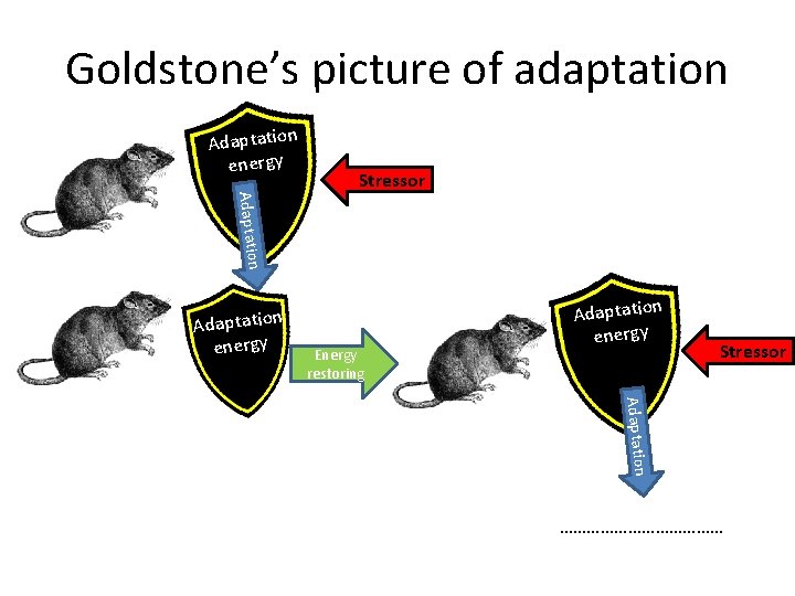 Evolution of adaptation mechanisms adaptation energy stress and