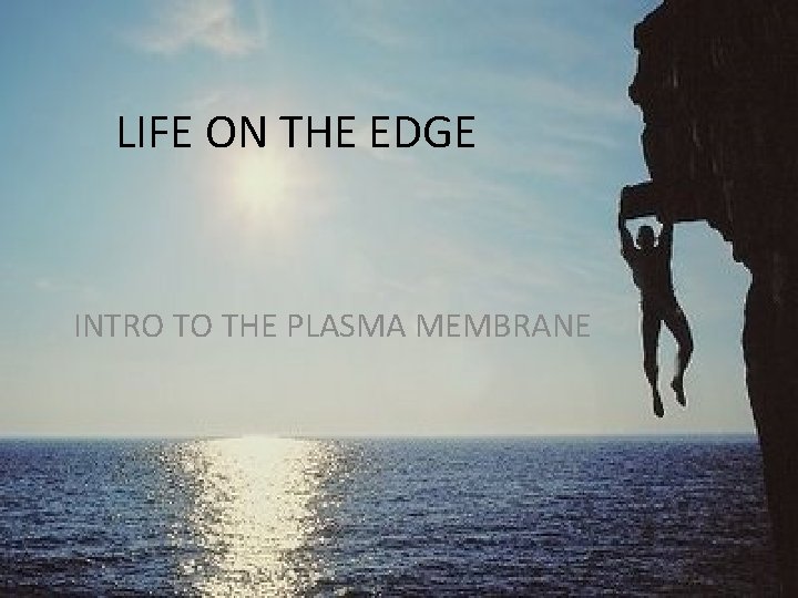 LIFE ON THE EDGE INTRO TO THE PLASMA