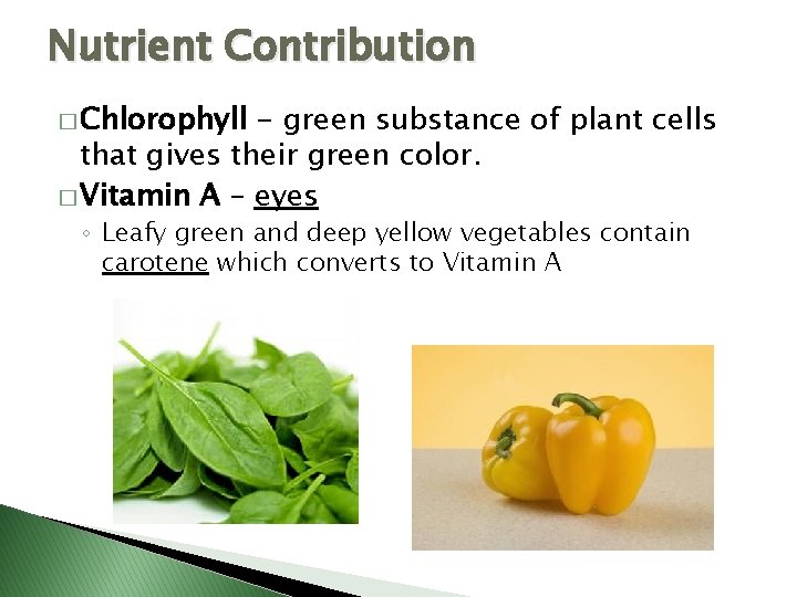 Vegetables Names for Vegetables Parts of plant from