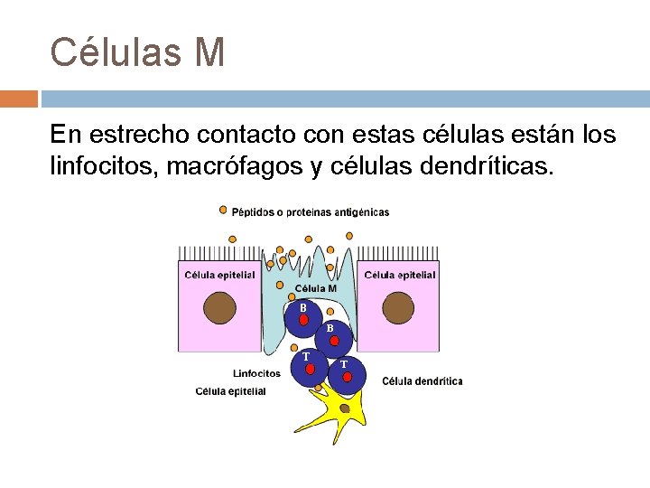 1 UNIVERSIDAD NACIONAL DE ASUNCIN FACULTAD DE CIENCIAS