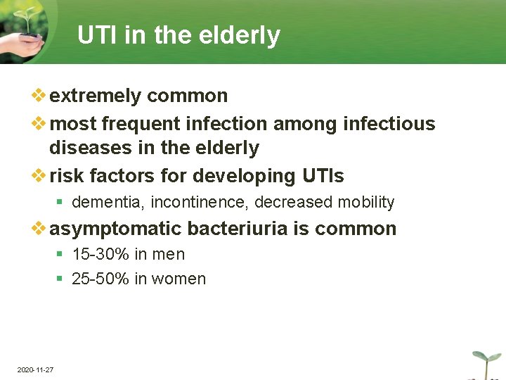 UTI in Elderly and Systemic Disease ewha univ