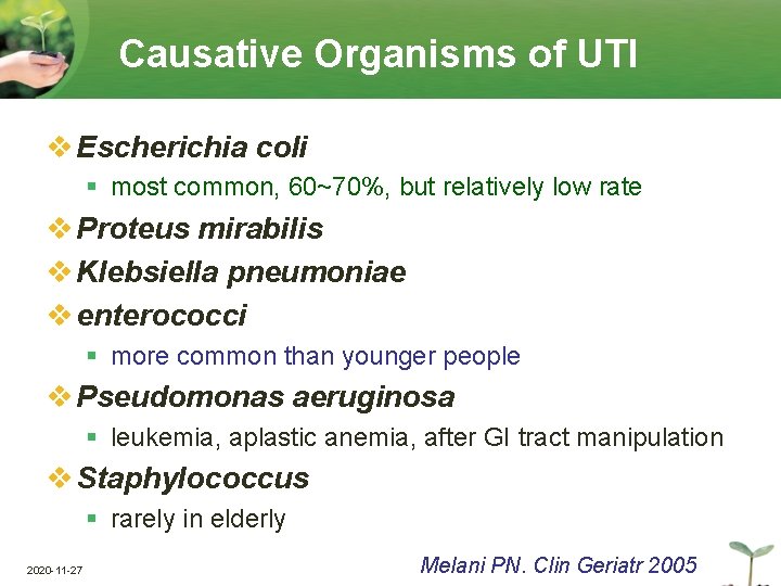 UTI in Elderly and Systemic Disease ewha univ