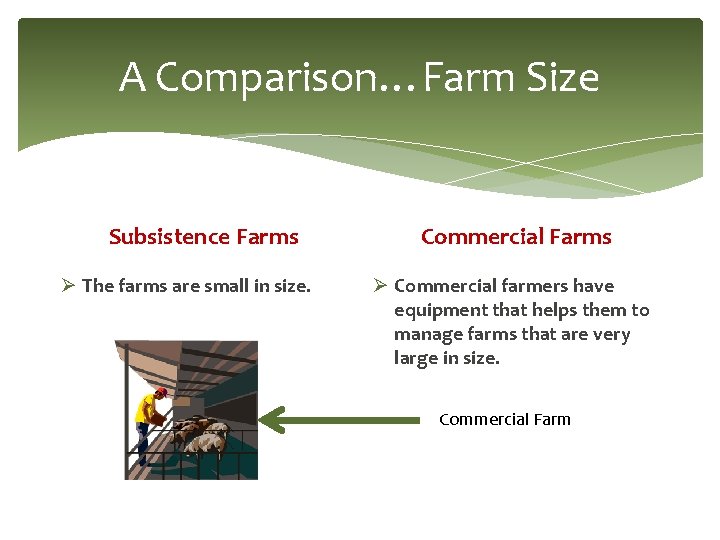 UNIT FIVE AGRICULTURE PRIMARY ECONOMIC ACTIVITIES ADVANCED PLACEMENT