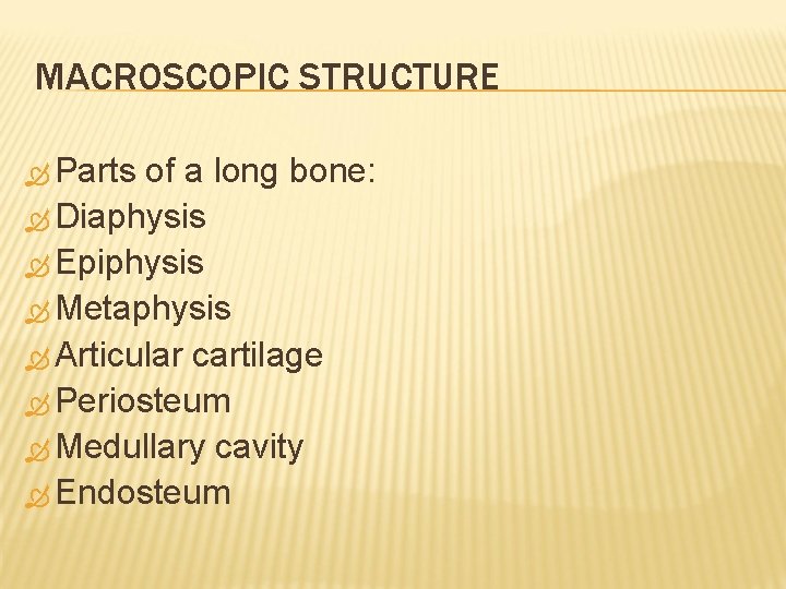BIO 238 THE SKELETAL SYSTEM BONE FUNCTION Support