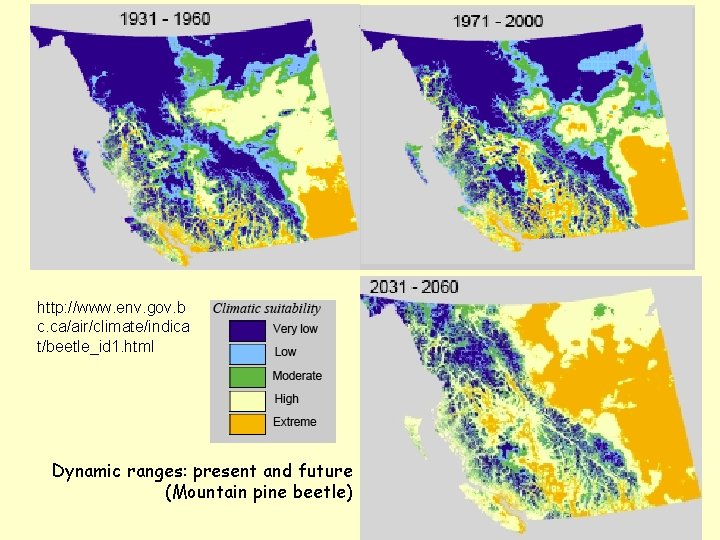 Biogeographic Range Biological Distributions Cartographic and database ...