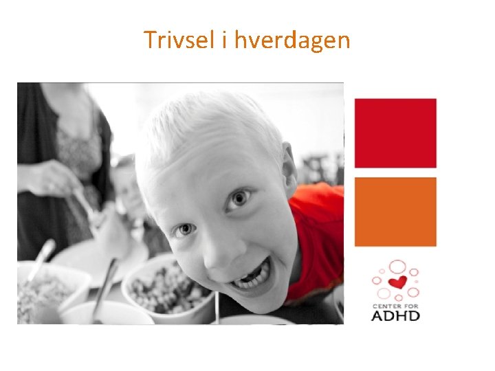 Trivsel i hverdagen Redskaber til positive samspil Brnestyret