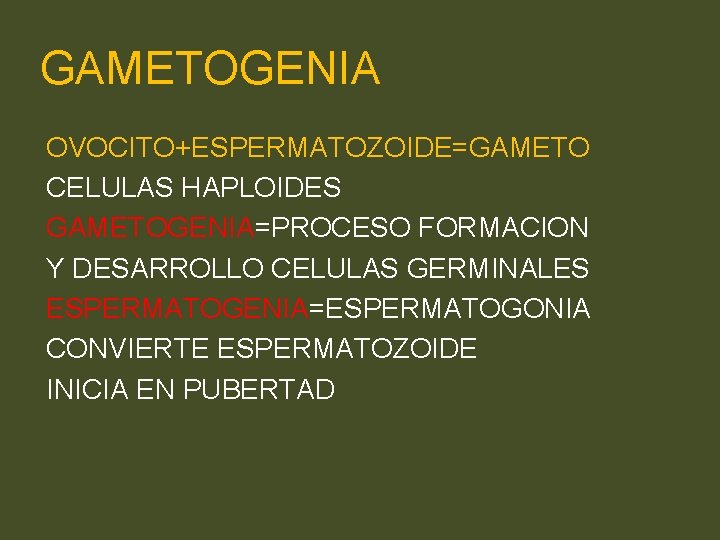 GAMETOGENIA OVOCITOESPERMATOZOIDEGAMETO CELULAS HAPLOIDES ...