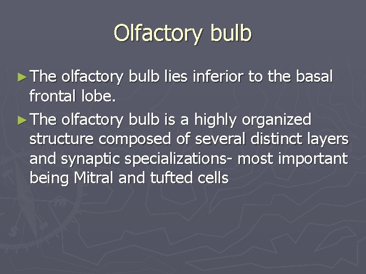OLFACTORY NERVE Introduction First cranial nerve One of