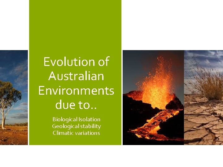 Evolution of Australian Environments due to Biological Isolation