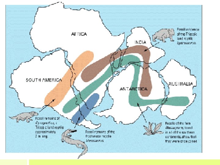 Evolution of Australian Environments due to Biological Isolation