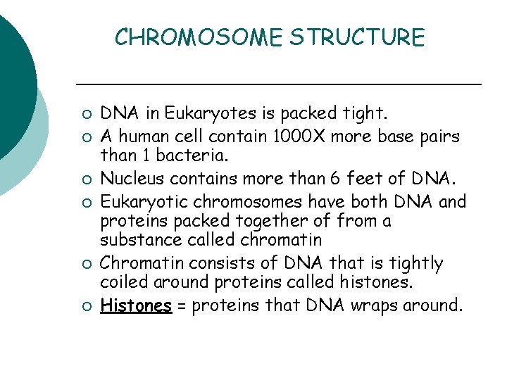 CHROMOSOMES DNA REPLICATION THE SOURCE OF GENETIC INFORMATION