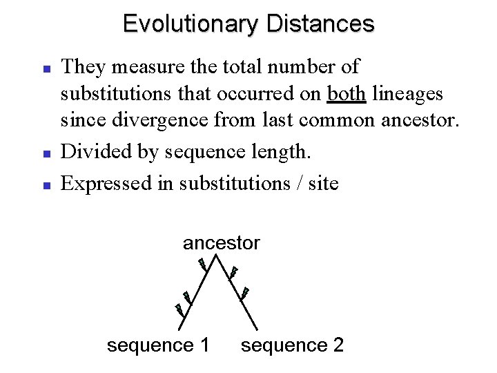 Introduction to Molecular Phylogeny Starting point a set