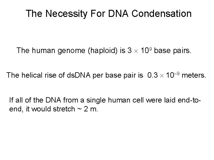 The Necessity For DNA Condensation The human genome