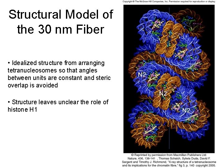 The Necessity For DNA Condensation The human genome