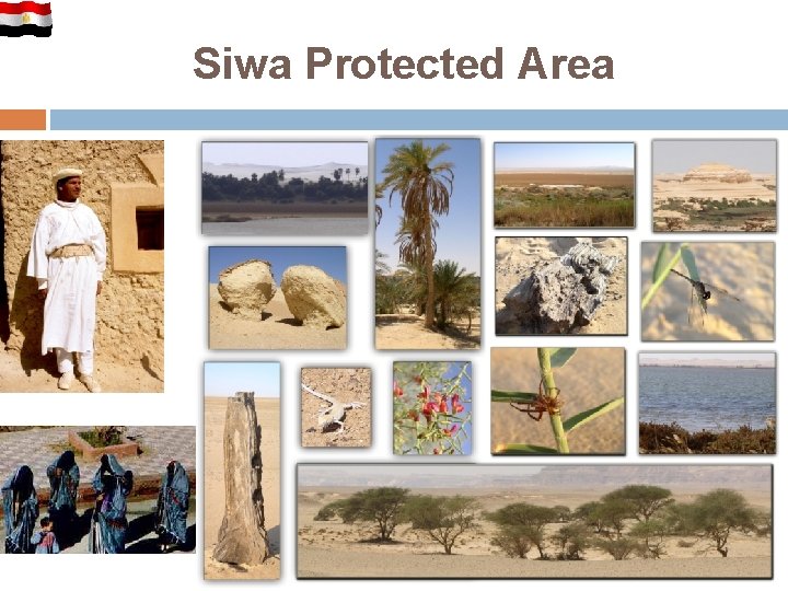 Kershif A Traditional Building Material on the Lakes