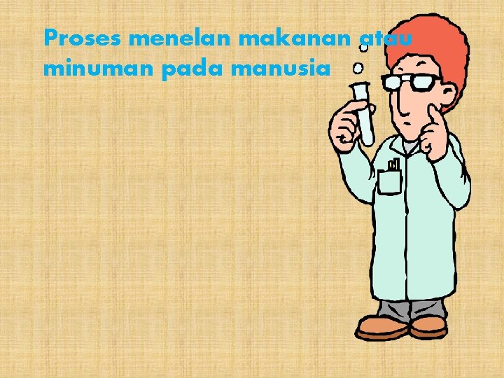 Proses menelan makanan atau minuman pada manusia Menelan