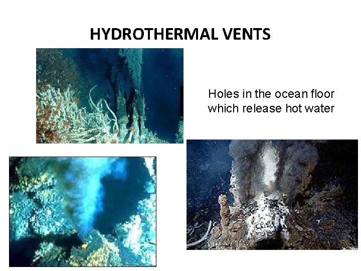 Lecture 20 AN INTRODUCTION TO HYDROTHERMAL VENTS AND