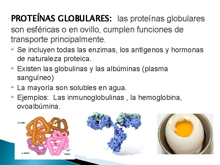 IV Biologa comn 1 Genoma genes e ingeniera