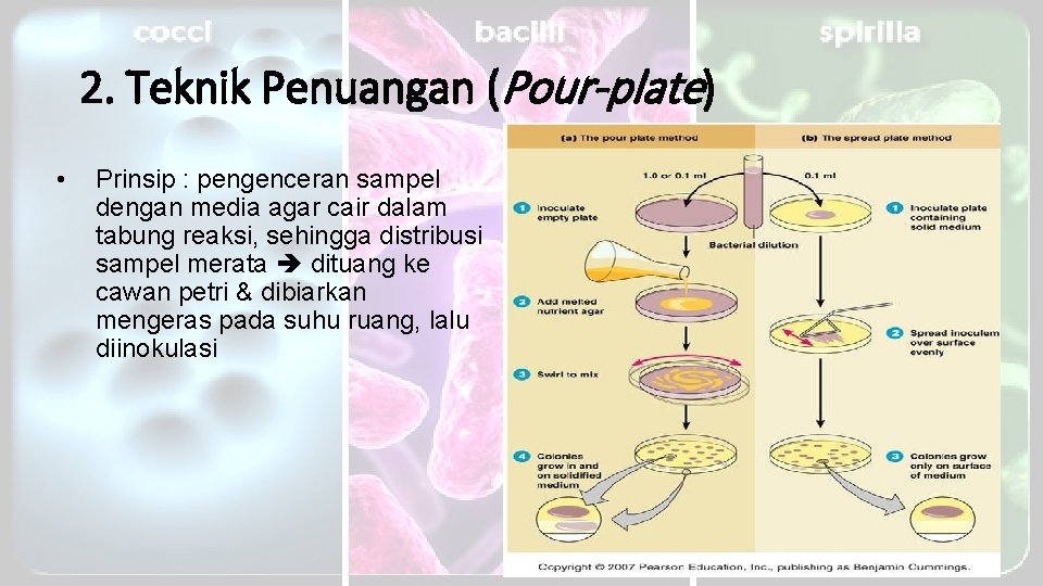 ISOLASI IDENTIFIKASI DAN PENANGANAN MIKROORGANISME SUMBER MIKROBA Sumber