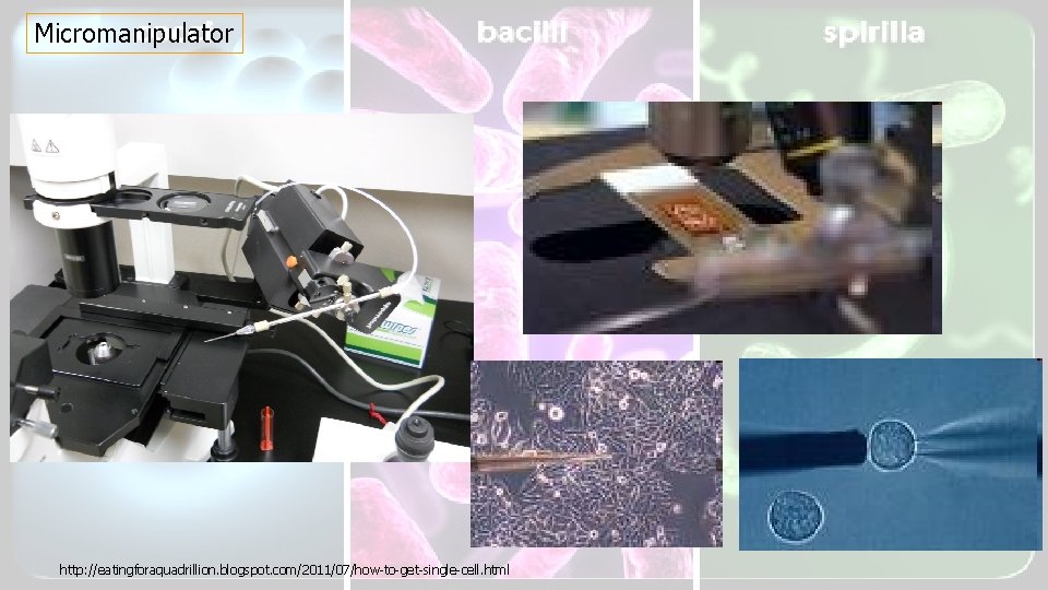 ISOLASI IDENTIFIKASI DAN PENANGANAN MIKROORGANISME SUMBER MIKROBA Sumber