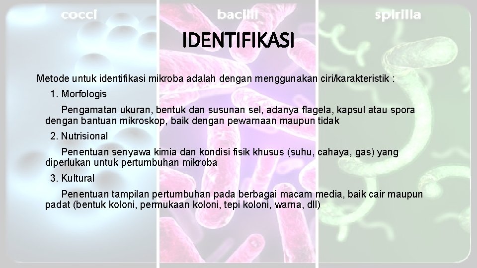 ISOLASI IDENTIFIKASI DAN PENANGANAN MIKROORGANISME SUMBER MIKROBA Sumber