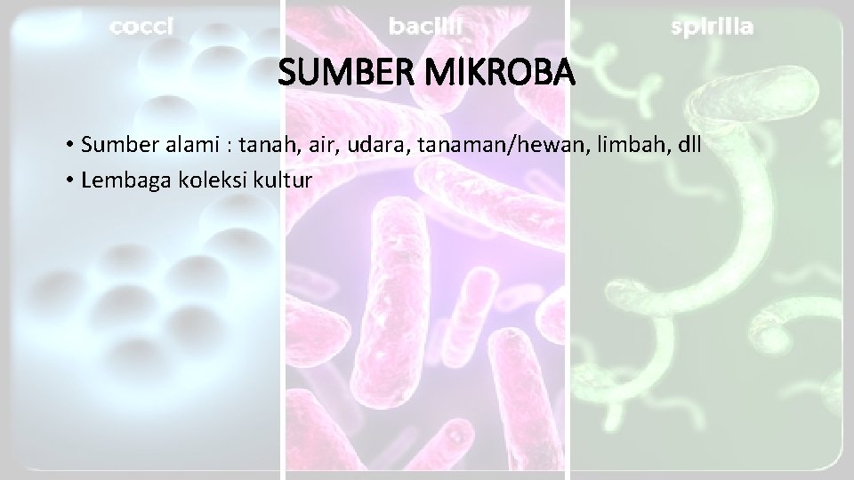 ISOLASI IDENTIFIKASI DAN PENANGANAN MIKROORGANISME SUMBER MIKROBA Sumber