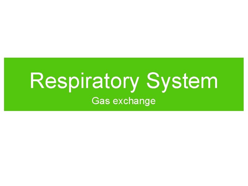 Respiratory System Gas exchange W O R K