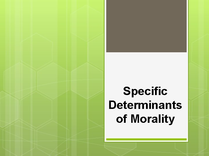 Specific Determinants of Morality factors which essentially affect