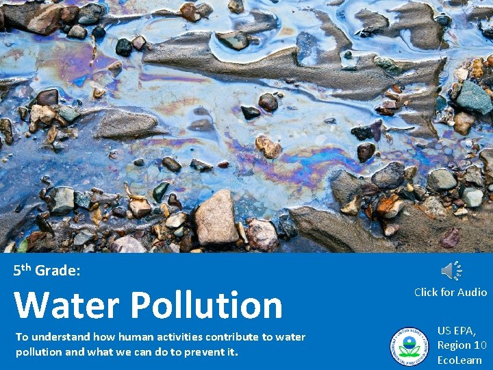 5 th Grade Water Pollution To understand how
