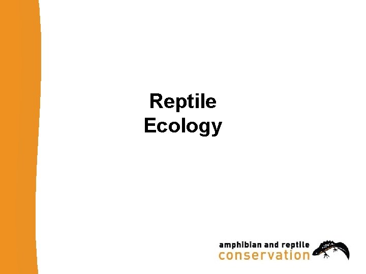 Reptile Ecology What drives reptiles Thermoregulation Feeding Mating