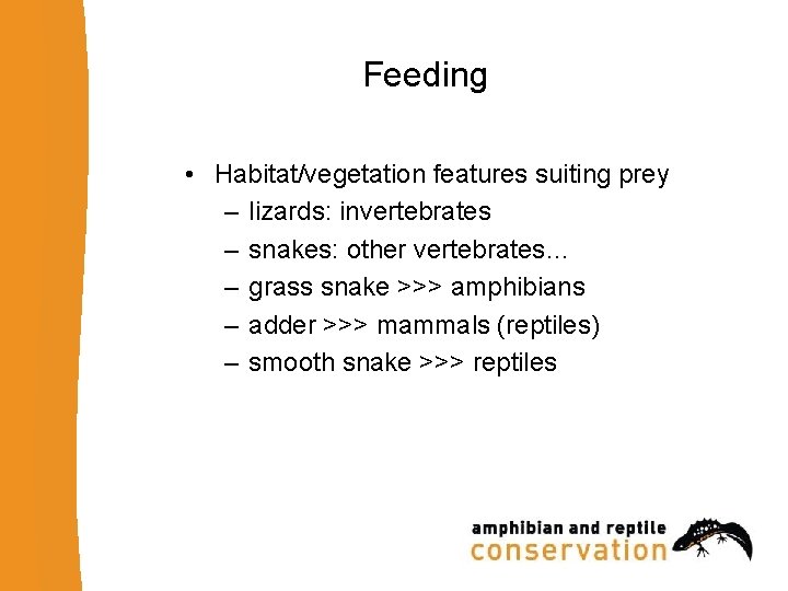 Reptile Ecology What drives reptiles Thermoregulation Feeding Mating