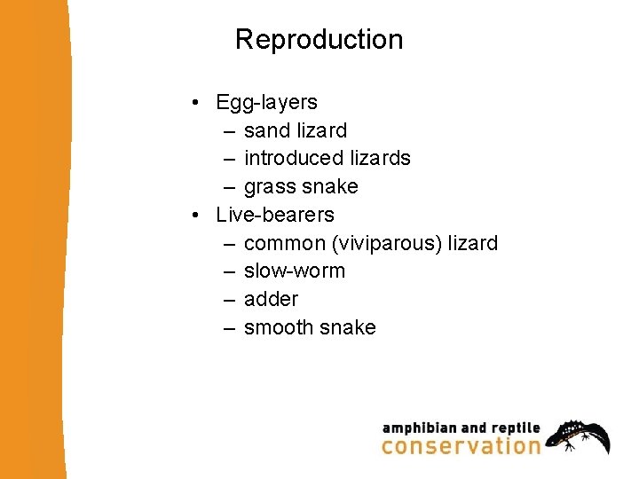 Reptile Ecology What drives reptiles Thermoregulation Feeding Mating