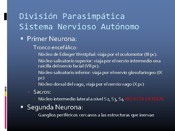 Sistema Nervioso Divisin Funcional Sistema Nervioso Somtico Sistema