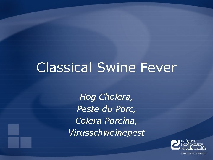 Classical Swine Fever Hog Cholera Peste du Porc