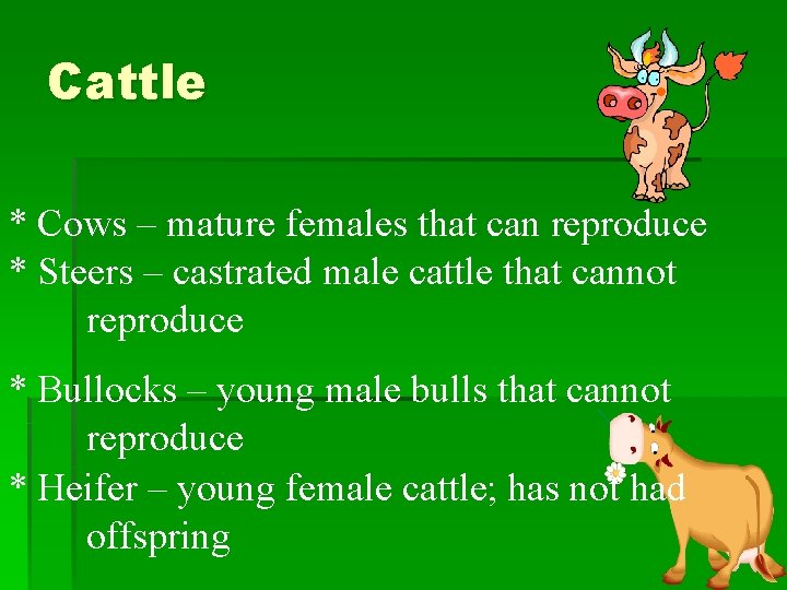 Introduction to Animal Science By Brandy Starnes East