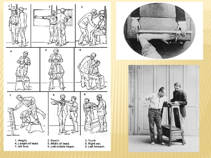 Amanda Hurtado Katherine Mc Gowan Blanca Muoz ANCIENT