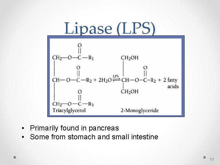 Pancreatic and Bone profile test Pancreas Pancreas is