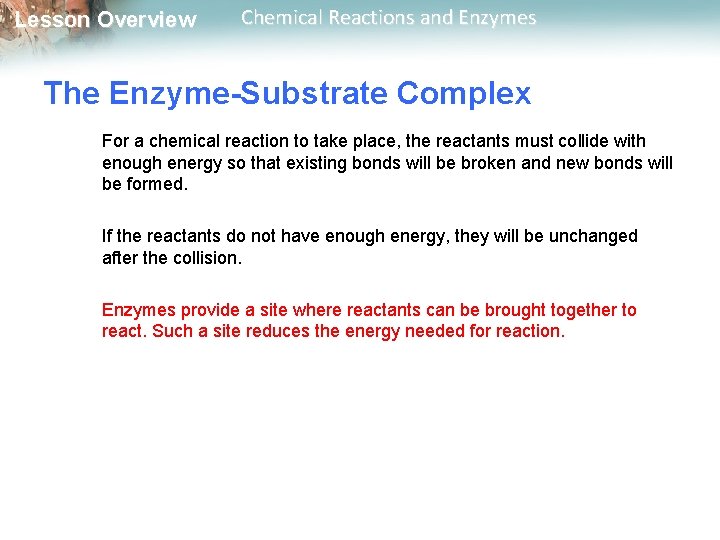 Lesson Overview Chemical Reactions and Enzymes Lesson Overview