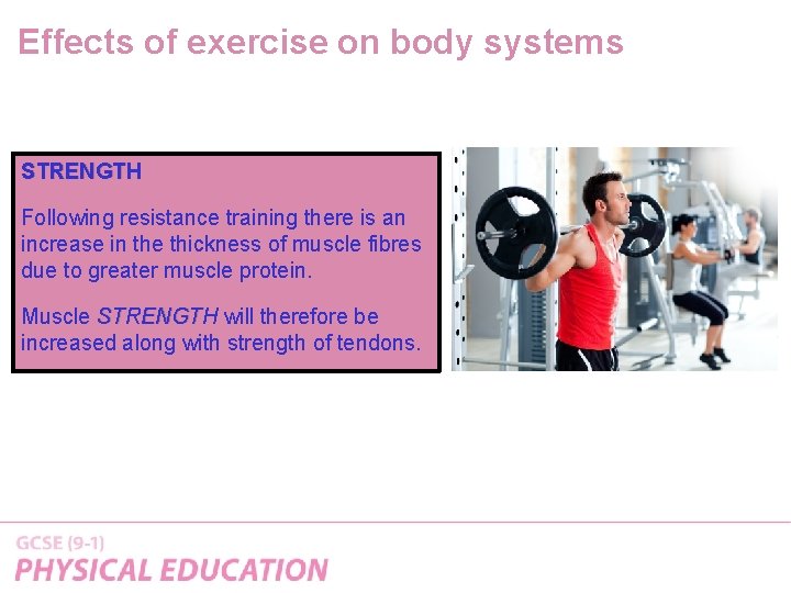 Applied Anatomy and Physiology 1 1 e Effects