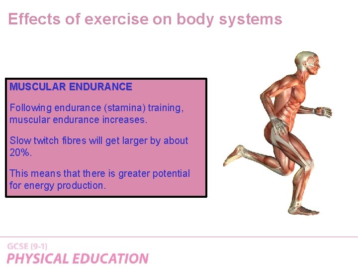 Applied Anatomy and Physiology 1 1 e Effects
