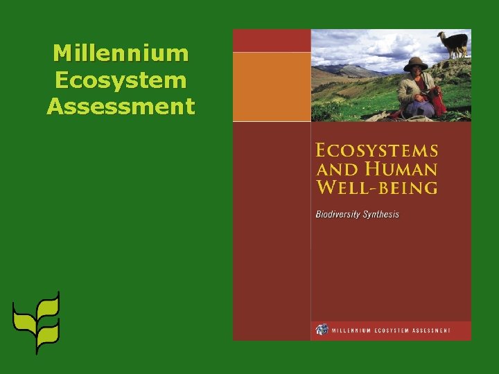 The Millennium Ecosystem Assessment Implications for the Convention