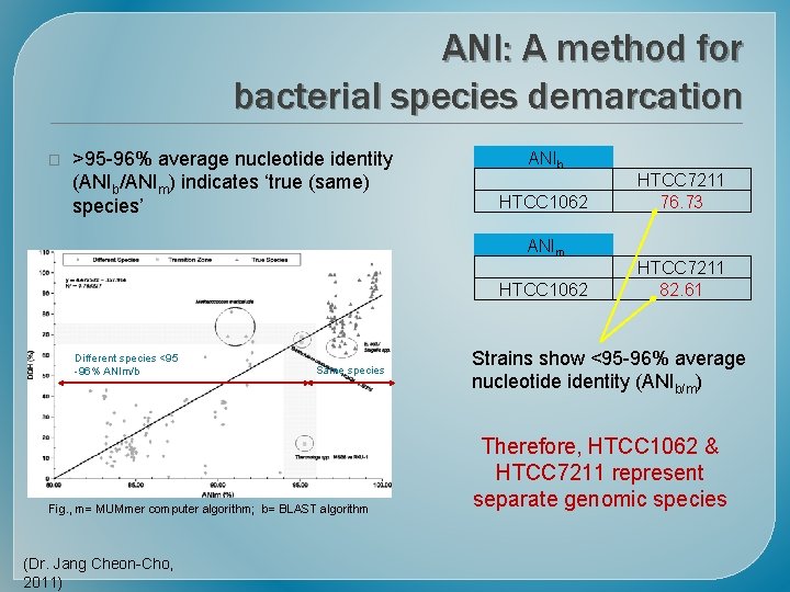 Polyphasic taxonomy of marine bacteria from the SAR
