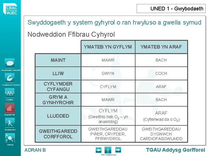 UNED 1 Gwybodaeth Swyddogaeth y system gyhyrol o