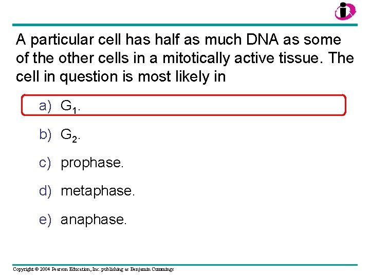 Chapter 12 The Cell Cycle Active Lecture Questions
