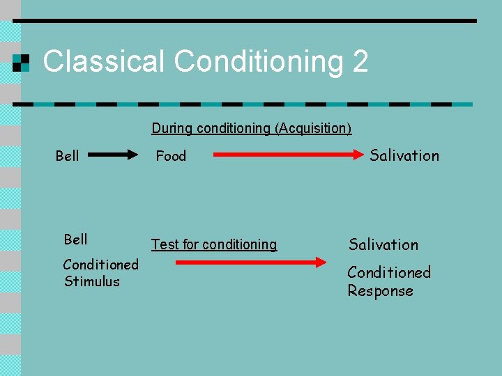 Introduction to Approaches in Psychology Learning Conditioning Keith