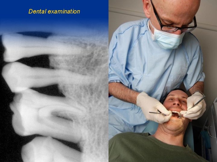 The Dunedin Longitudinal Study 1 Dunedin New Zealand