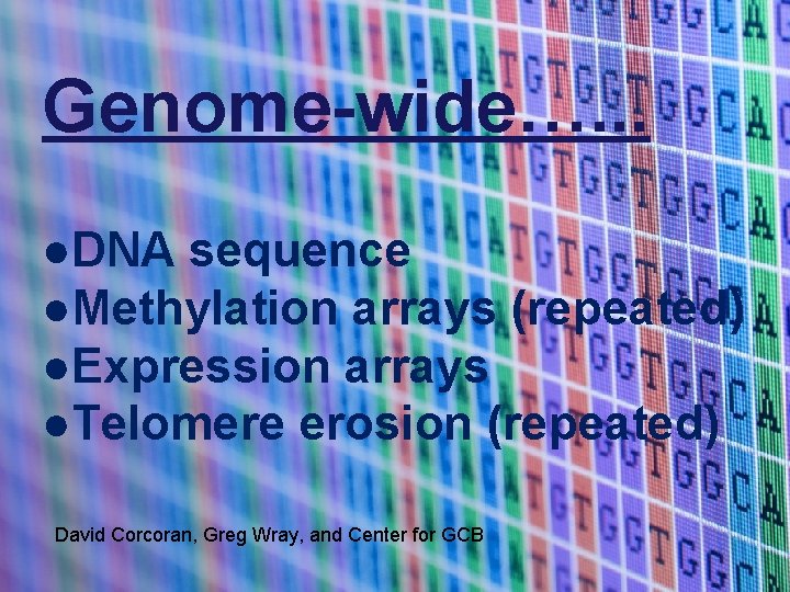 The Dunedin Longitudinal Study 1 Dunedin New Zealand