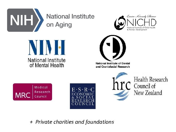 The Dunedin Longitudinal Study 1 Dunedin New Zealand