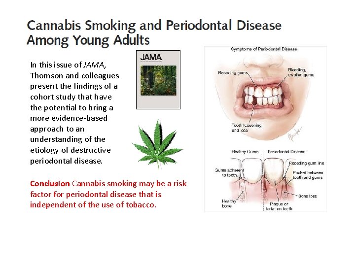 The Dunedin Longitudinal Study 1 Dunedin New Zealand
